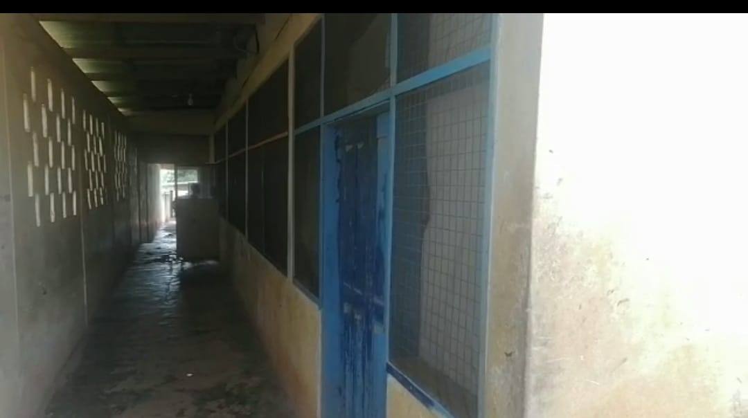 Kwahu Asakraka: Snakes Bite Two Students of St. Paul SHS Over ...